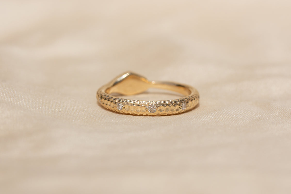 Ouroboros | single cut diamond | size 7 – Leili Kasraie